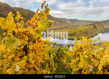 autumnal moselle landscape at bremm calmont region germany Stock Photo ...