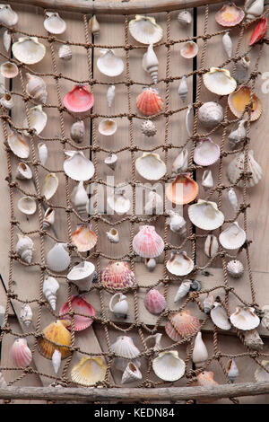Fishing net and sea shells on old oak board background with copy space ...