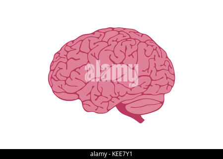 Human brain damage, illustration Stock Photo: 164842781 - Alamy