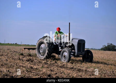 Grey Ferguson Tractor Stock Photo - Alamy