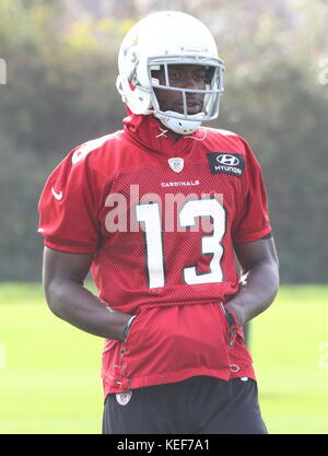 Arizona Cardinals wide receiver Jaron Brown (13) during the second half ...