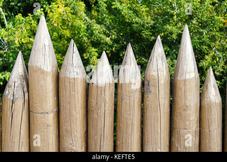 Line of sharpened wooden stakes in snowy forest on hill Stock Photo - Alamy