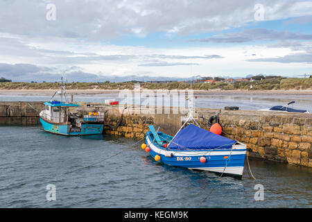 beadnell harbour beadnell northumberland england Stock Photo - Alamy
