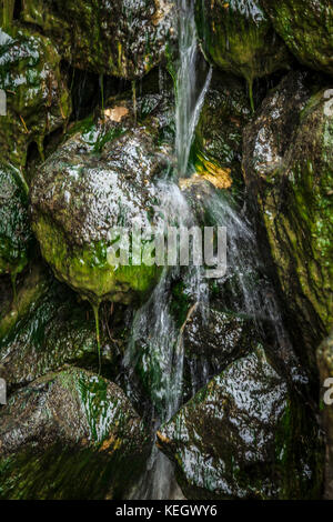 A gentrle stream of natural spring water Stock Photo - Alamy