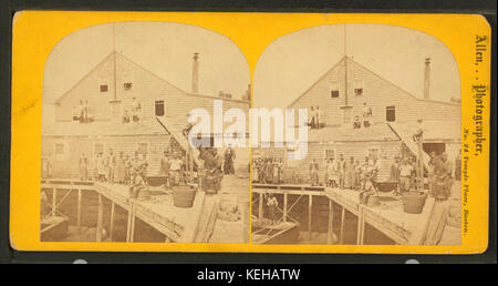 Lobster factory, by E L Allen Stock Photo - Alamy