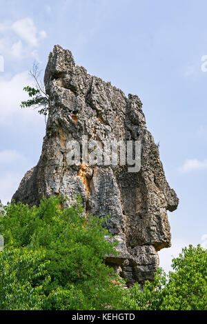 karst, limestone, limestone formation, rock formation, Shilin Stone ...