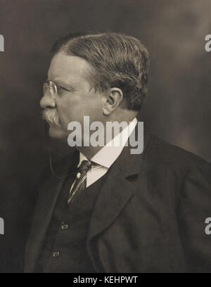Theodore Roosevelt portrait, 1913 Stock Photo - Alamy