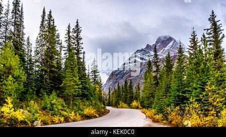 Road to Edith Cavell in Jasper National Park Stock Photo: 97005150 - Alamy