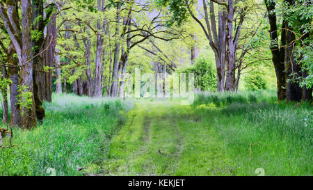 Green dominates the color pallet at Champoeg State Heritage Area ...