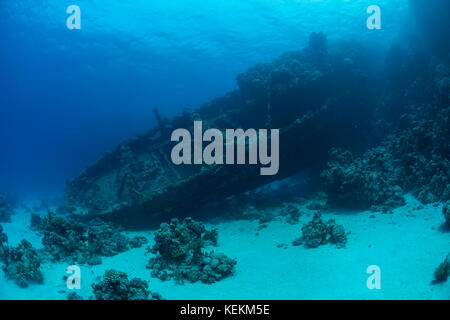 Wreck of Tug Boat Tien Sien, Fury Shoal, Red Sea, Egypt Stock Photo - Alamy