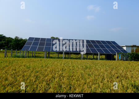 Solar power plant for irrigation at a paddy field in Kustia, Bangladesh ...