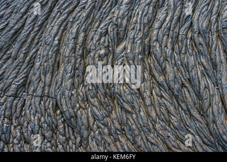 Pahoehoe or rope lava, on Rabida Island, Galapagos. It is formed of ...