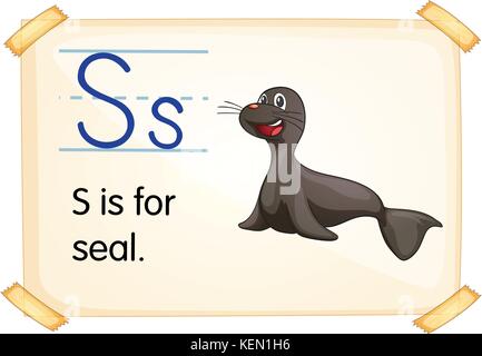 Flashcard letter S is for seal Stock Vector Image & Art - Alamy