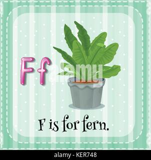 Flashcard letter F is for fern Stock Vector Image & Art - Alamy