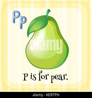 Flashcard letter P is for pear illustration Stock Vector Image & Art ...