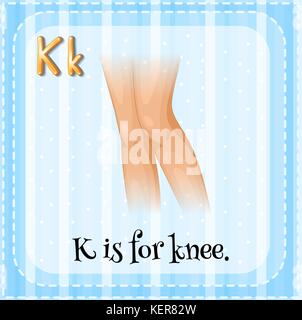Flashcard letter K is for knee Stock Vector Image & Art - Alamy
