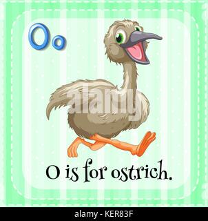 Flashcard letter O is for ostrich illustration Stock Vector Image & Art ...
