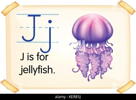 Flashcard letter J is for jellyfish illustration Stock Vector Art & Illustration, Vector Image ...