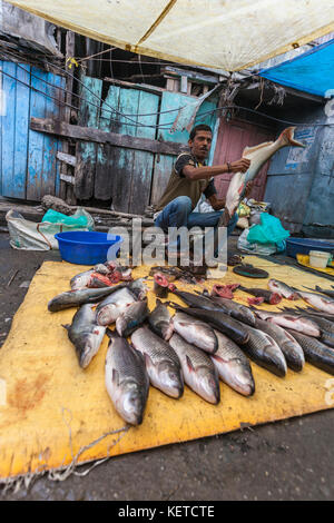 India, West Bengal, Darjeeling, Market, Baid Gaira fruit Stock Photo ...