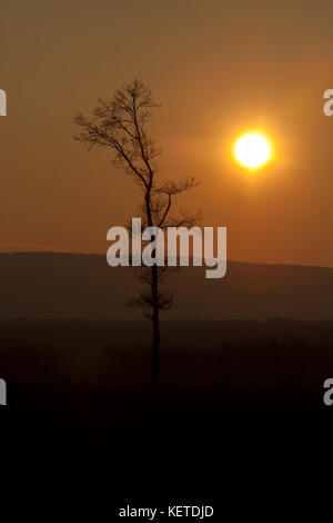 Misty autumn sunset behind the tree lines on the horizon. Beautiful ...