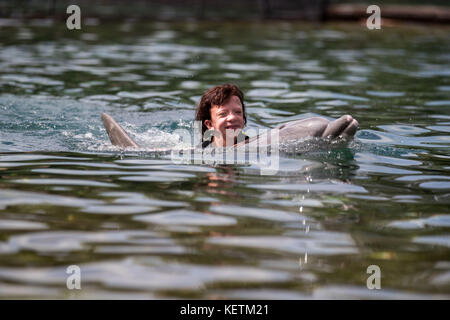 Libbie Smith, 12, from Sheffield, swims with a dolphin during the ...