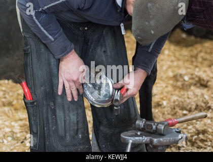 A farrier at work in a horse racing yard Stock Photo - Alamy