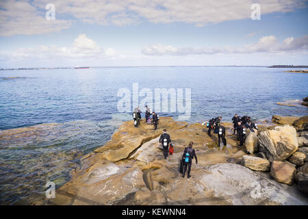 Scuba divers getting ready to dive Stock Photo - Alamy