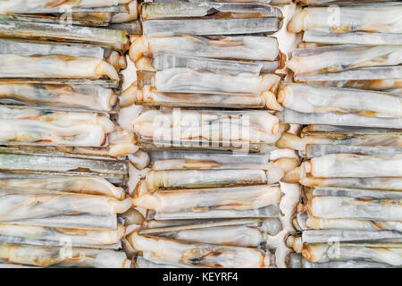 Fresh razor shell on ice at the seafood booth Stock Photo - Alamy
