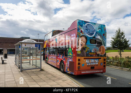 Hop on hop off City of Chester open top sightseeing bus at stop beside ...