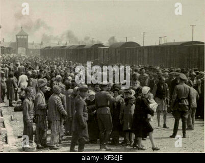 historical photographs of selection at Auschwitz-Birkenau Stock Photo ...