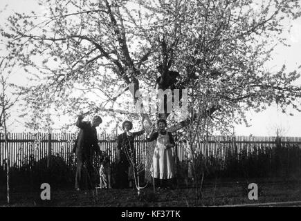 Various flowers blooming in spring and rural road Stock Photo - Alamy
