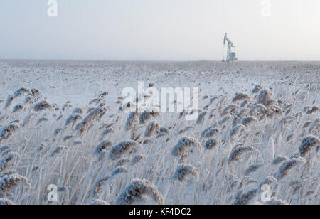 Oilfields of Daqing,Heilongjiang Province,China Stock Photo - Alamy