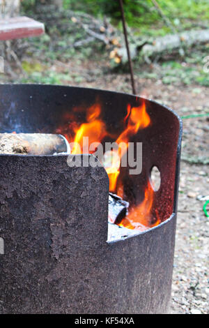 Camp fire logs at picnic site, summer vacation scene, African safari ...