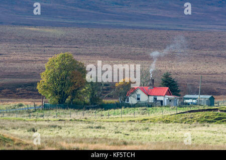 Sheep Fank, Kinbrace, Sutherland, Scotland, United Kingdom Stock Photo ...