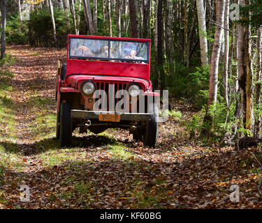 Friends in front of off road vehicle, Kennedy Meadows, California, US ...