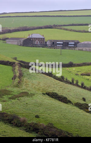 Green fields of crops in the Cornish country side Stock Photo - Alamy