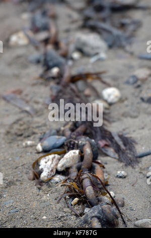 Rusty anchors and the anchor chain links in a harbor. Greece Stock ...