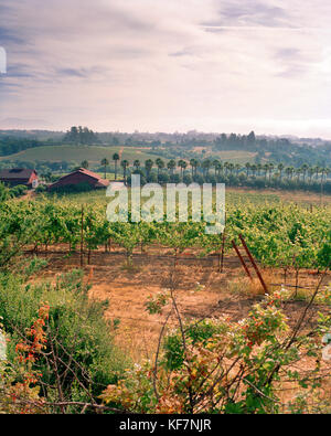 USA, California, Sebastopol, view of the surrounding landscape from the ...