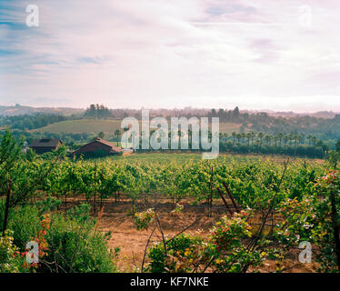 USA, California, Sebastopol, view of the surrounding landscape from the ...