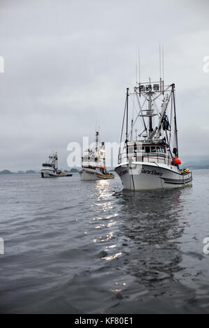 USA, Alaska, Sitka, seiners fish for Salmon outside of Deep Inlet, Big ...