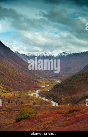 USA, Alaska, Cantwell, Horse Pack trip into the Jack River Valley at ...
