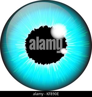 Blue iris eye realistic vector set design isolated on white background ...