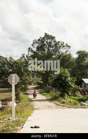 PHILIPPINES, Palawan, Sabang, countryside view in the early morning on ...
