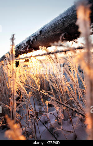 A fence with barbed wires covered with ice in France Stock Photo - Alamy