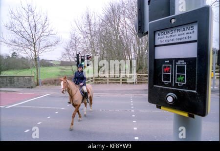 Hilary Sorroy of Forest Row, using the first pegasus crossing in the ...
