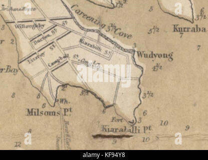 3 1875 Map of Port Jackson and city of Sydney Stock Photo - Alamy