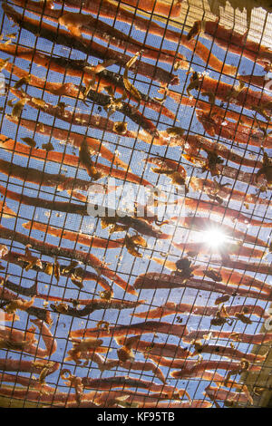 drying house for fresh fish Stock Photo - Alamy