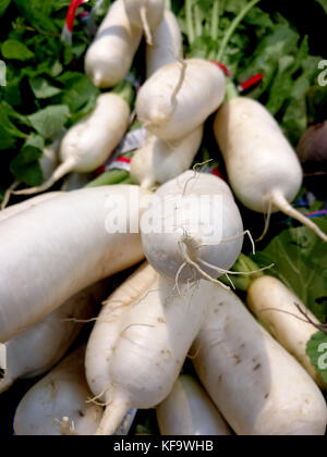 Pile of red turnips as background, closeup Stock Photo - Alamy