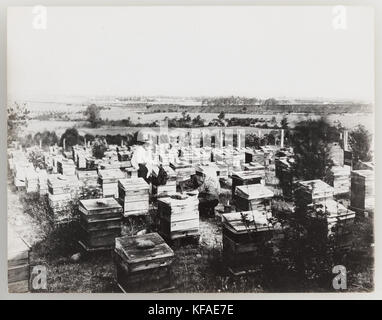 920803 Series 17 Rural and bush scenery ca 19211923 Stock Photo - Alamy