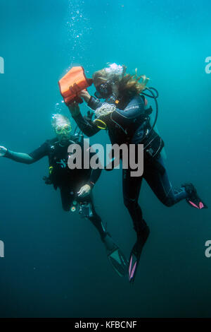 GALAPAGOS ISLANDS, ECUADOR, individuals diving in the waters near ...